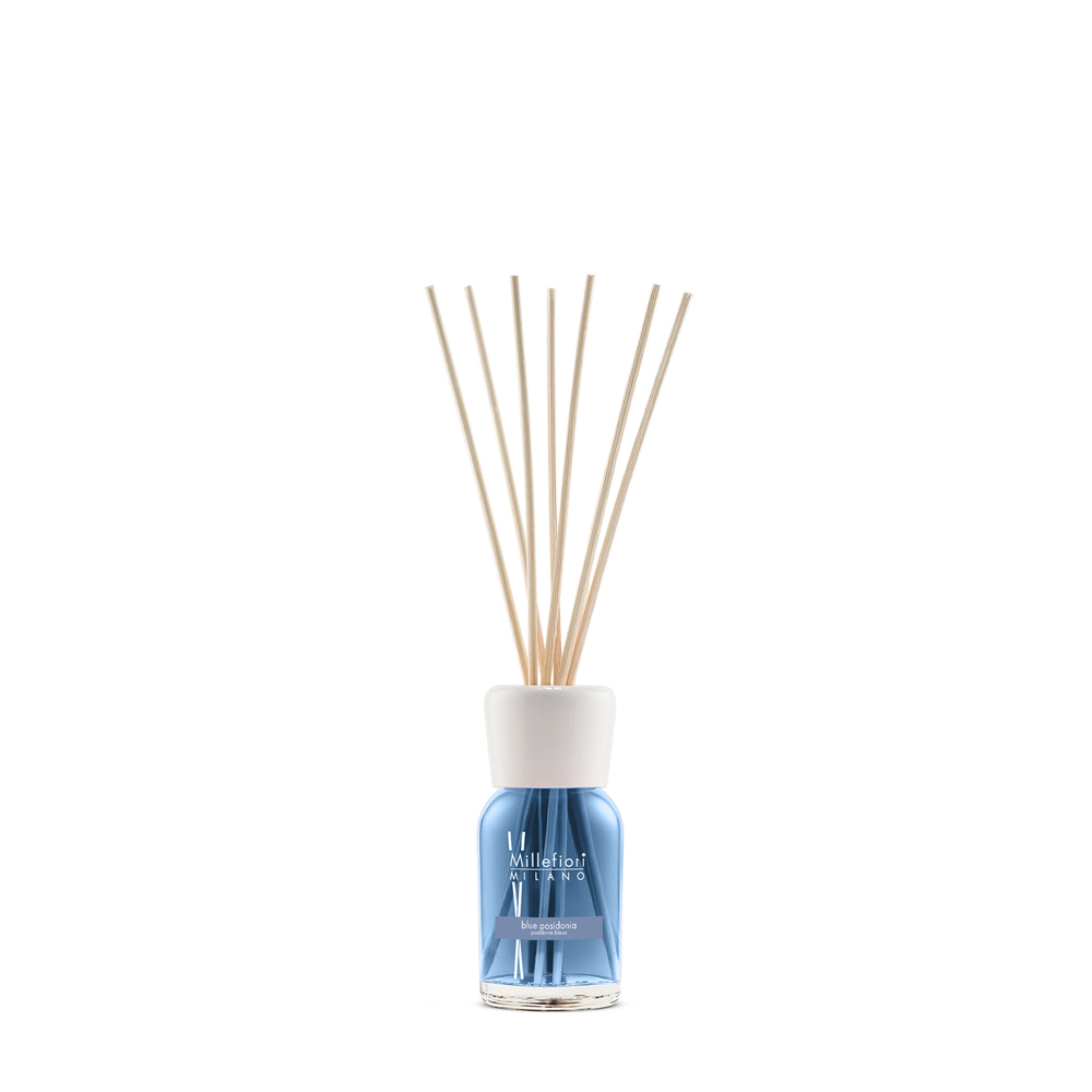 Blue Posidonia Natural Stick Diffuser 100ml | Yankee Candle Offizielle ...